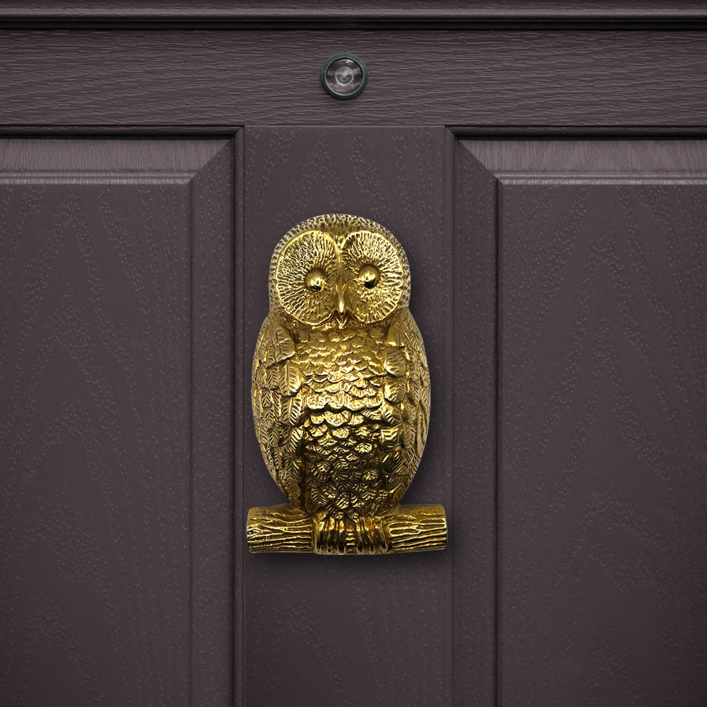 Brass Dragonfly Door Knocker– Doorbell World